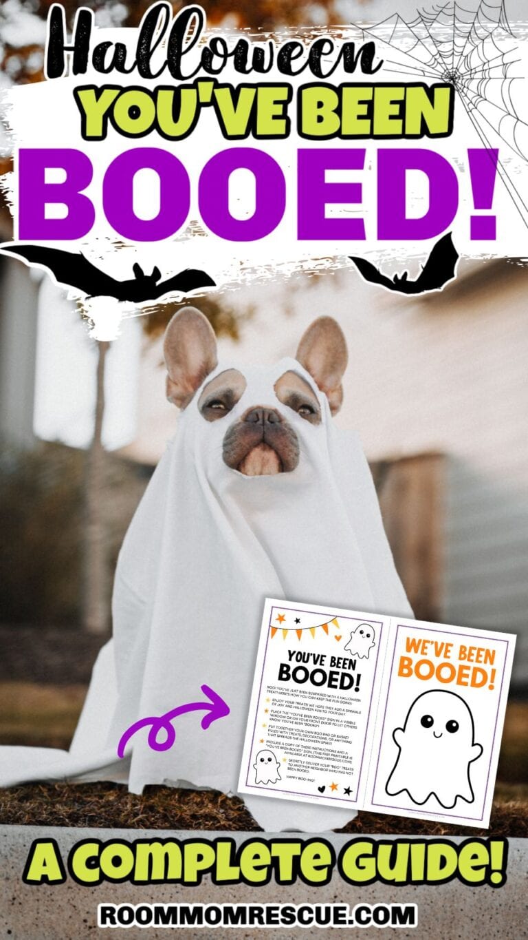 Surprise! You’ve Been Booed • Room Mom Rescue